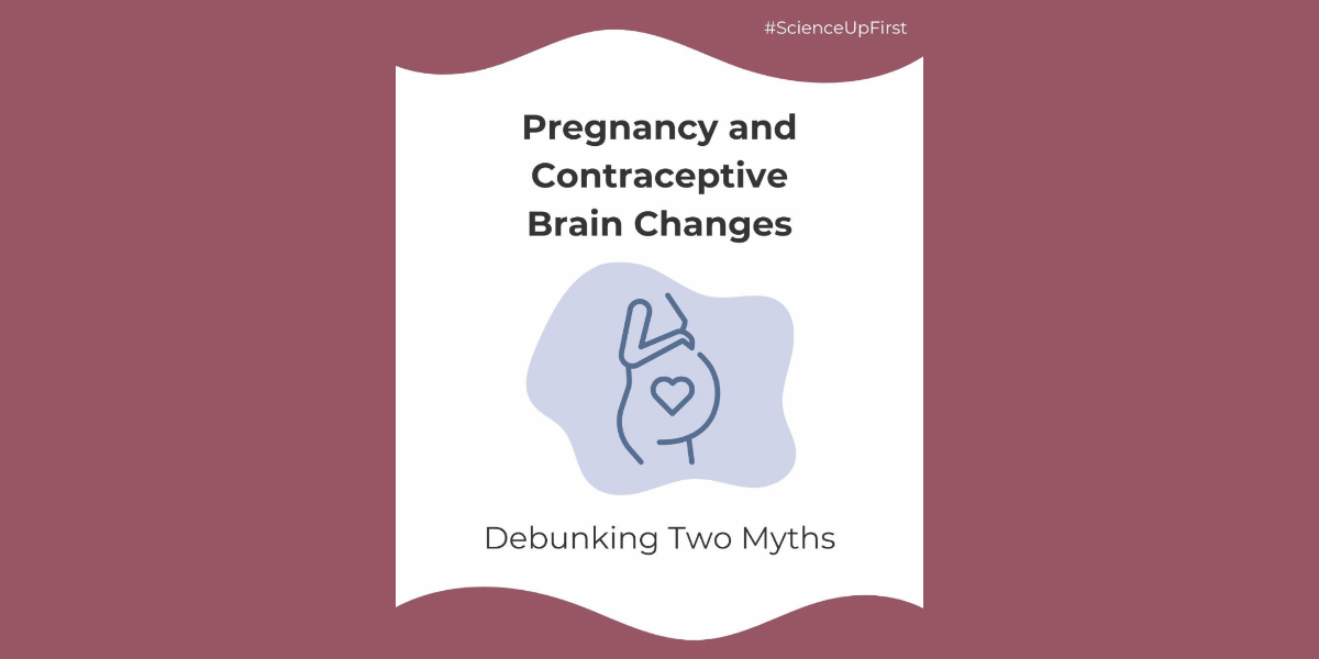 Pregnancy and Contraceptive Brain Changes | ScienceUpFirst