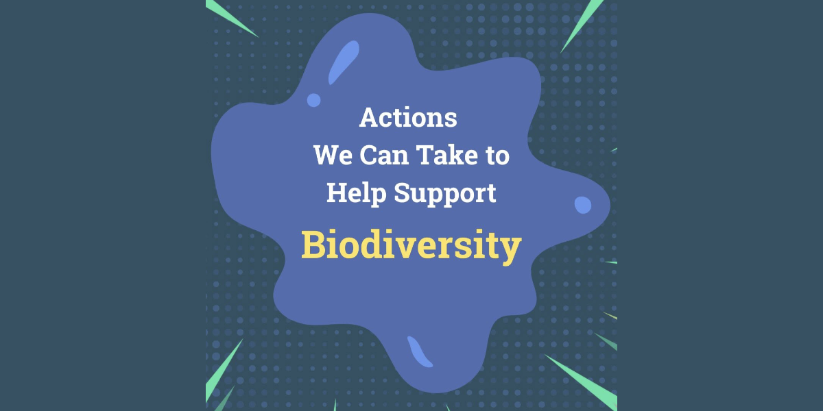 Actions we can take to support Biodiversity | ScienceUpFirst