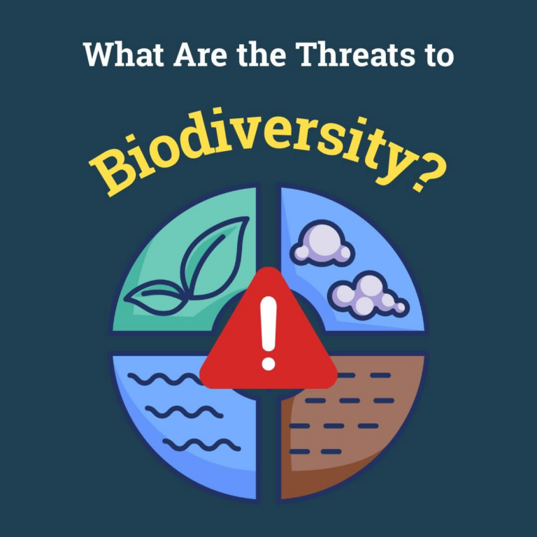 What are the threats to Biodiversity? | ScienceUpFirst
