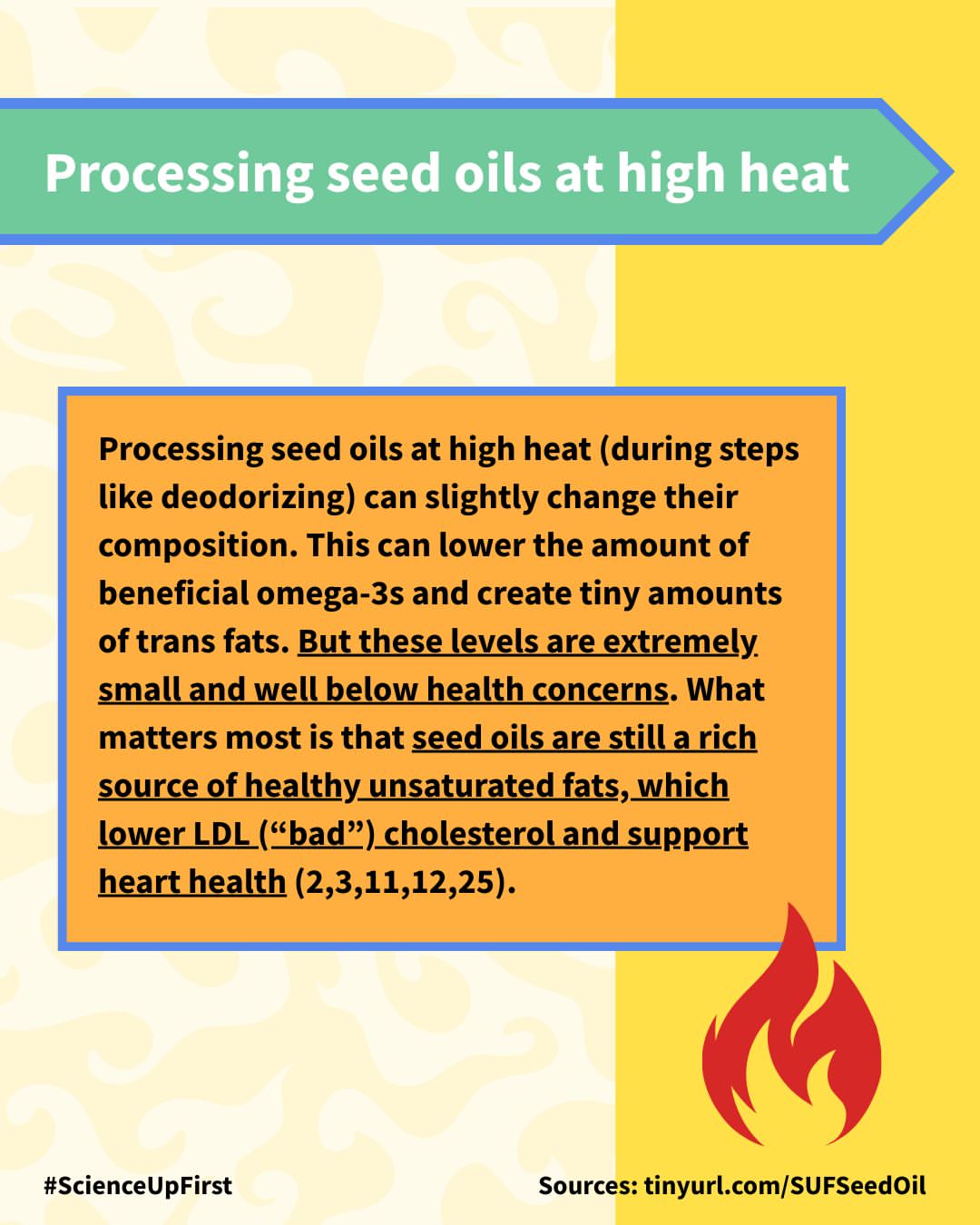Extraction and Seed Oils | ScienceUpFirst