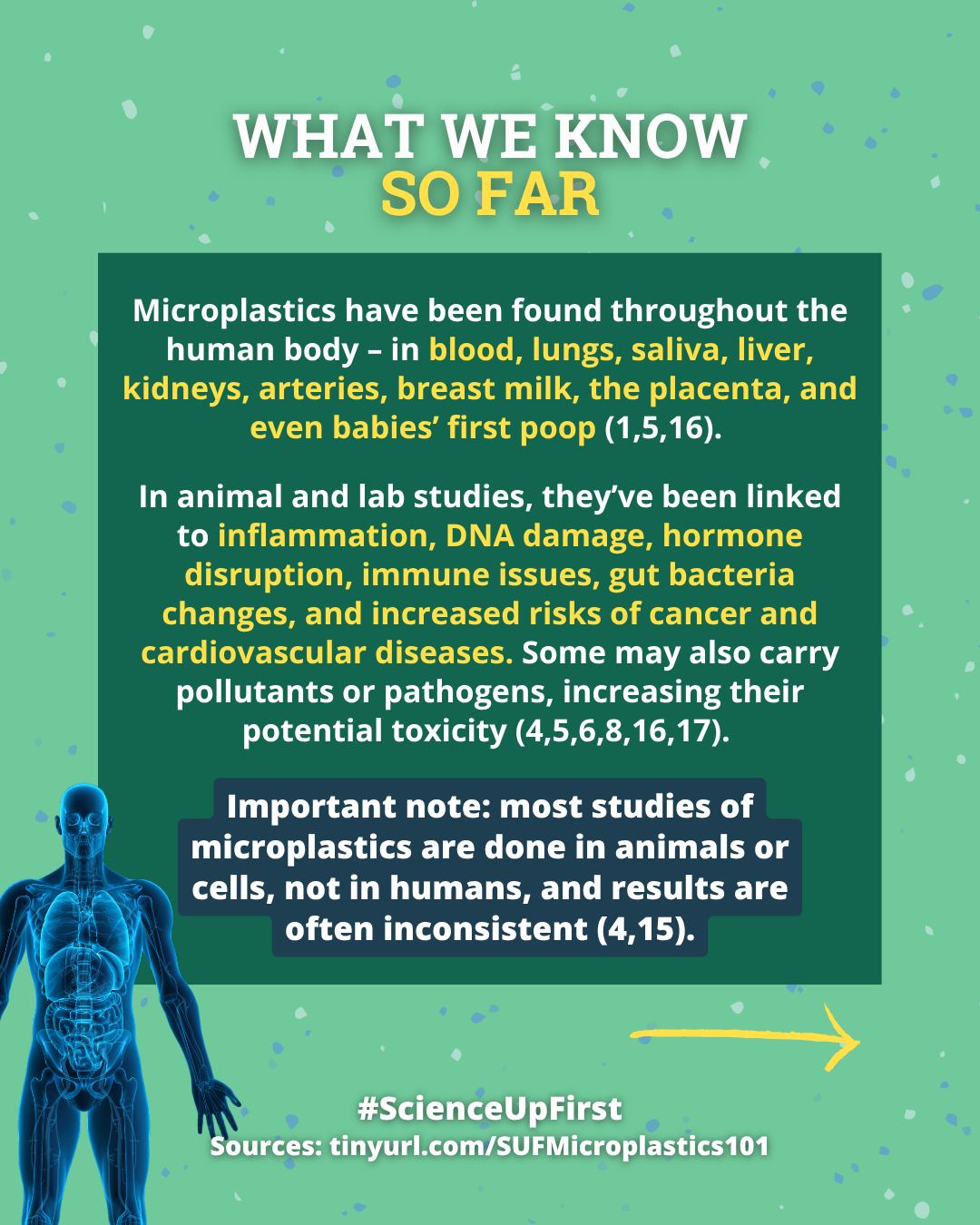 Are microplastics a problem for our health? | ScienceUpFirst